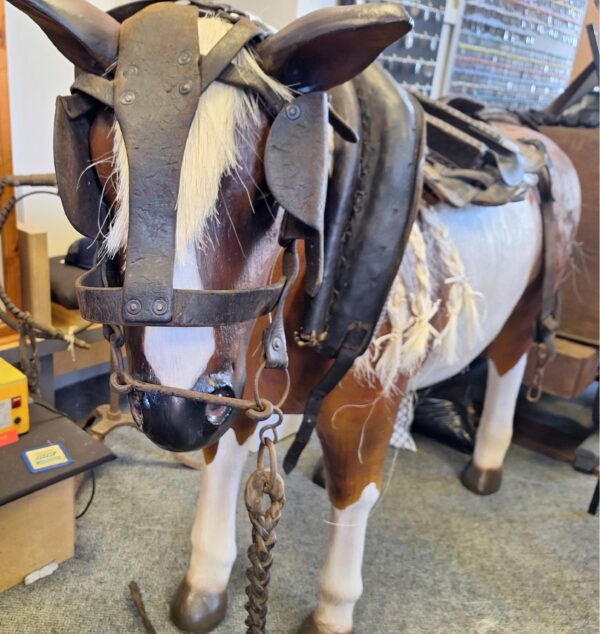 NAMING OUR PONY | Nottinghamshire Mining Museum - a history of ...
